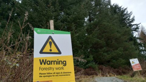 Forestry work at Skinidin - Broadford & Strath Community Company